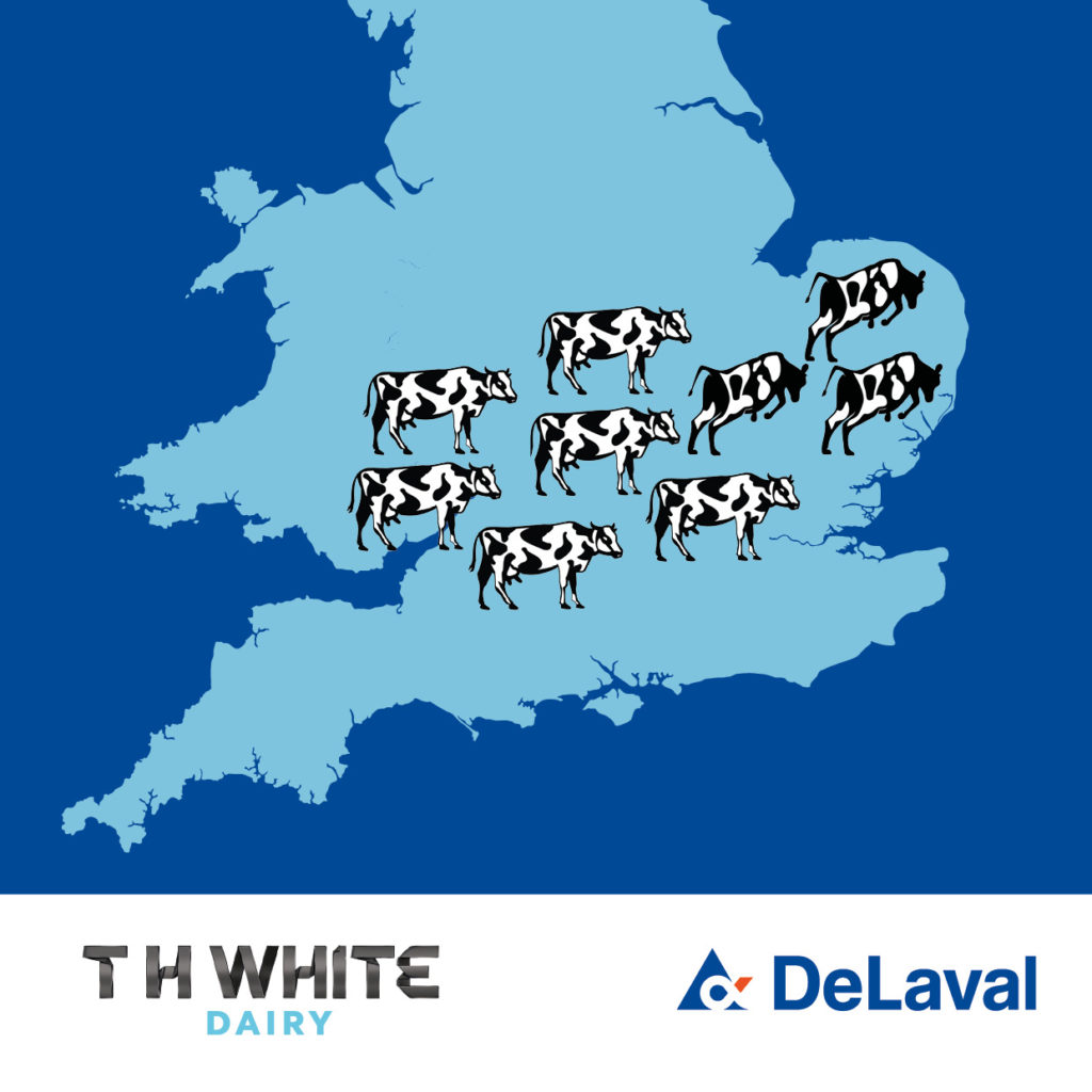 News - T H WHITE Dairy - the latest news from T H WHITE Dairy