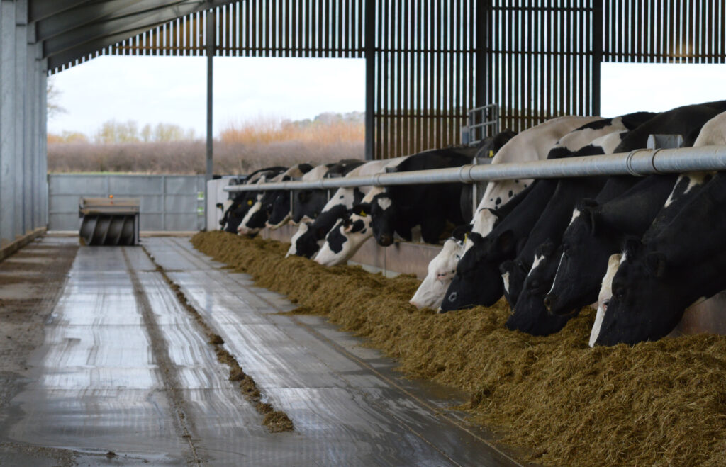 DeLaval’s robotic combination adds up for Addingrove Farm - T H WHITE Group