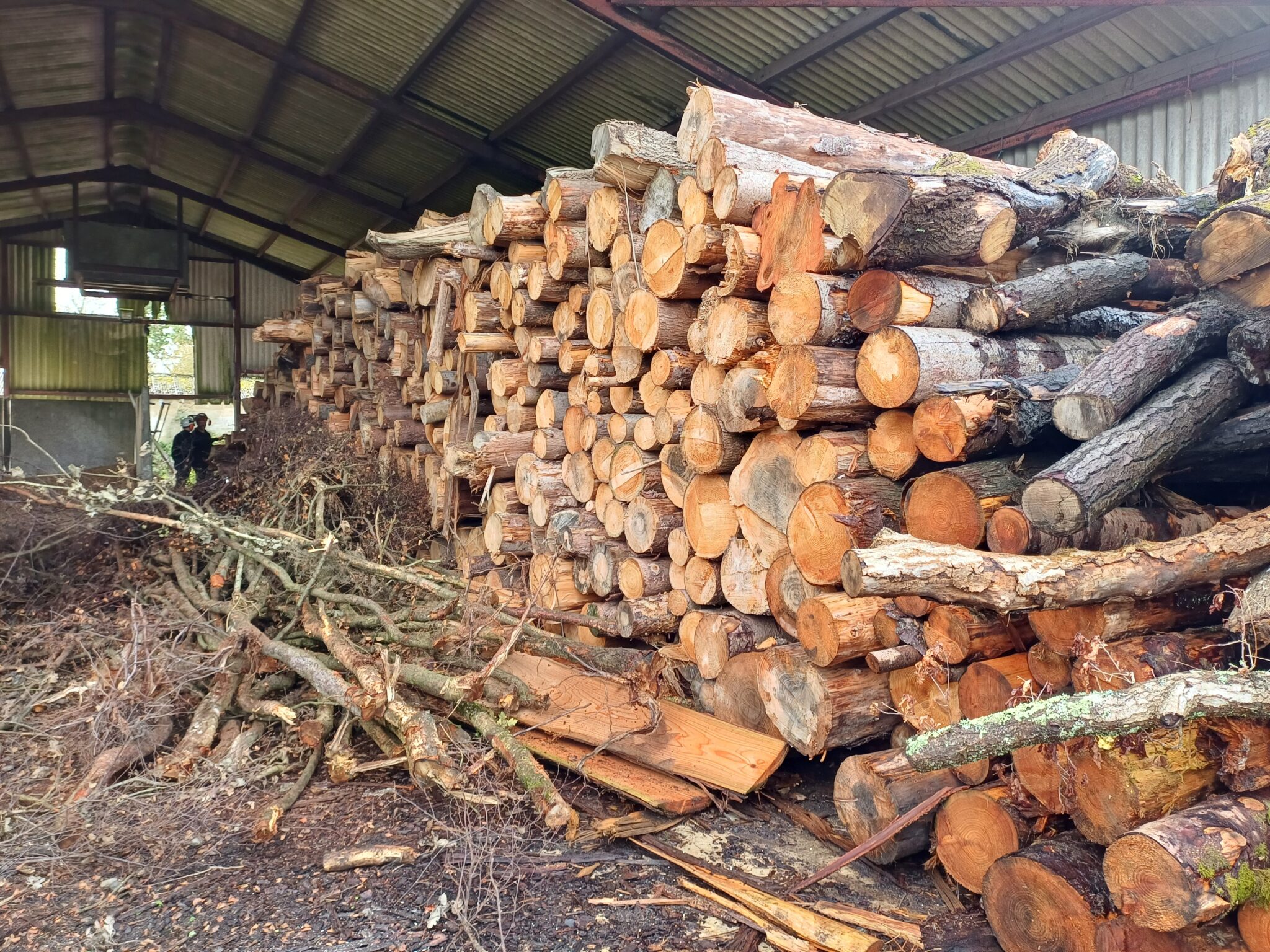 Jensen A425 PTO Biomass Chipper: Sustainable Biomass Solution